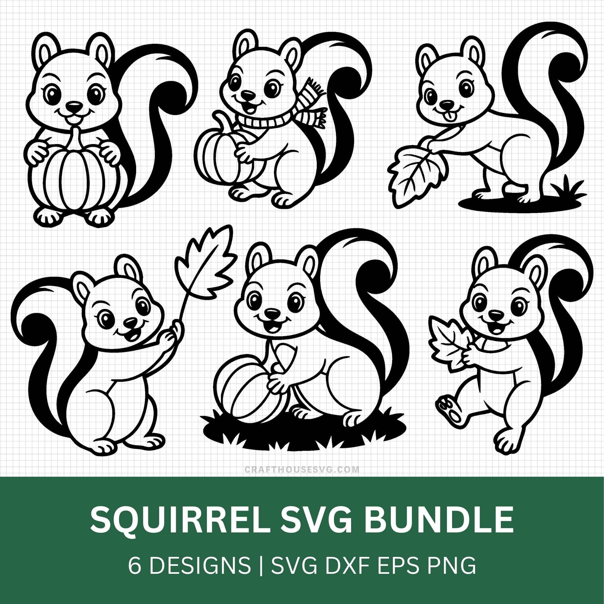 Squirrel SVG Bundle - Free and Premium Files